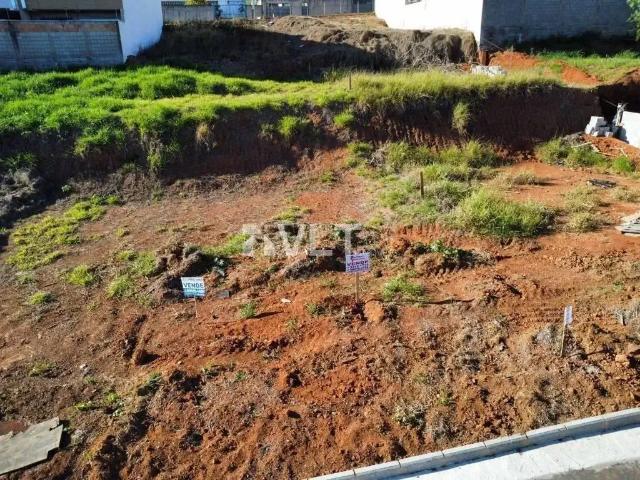 Terreno / Lote para Venda em Pouso Alegre/MG Centro