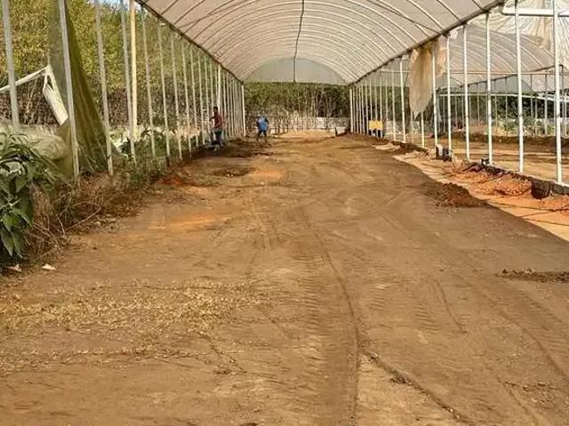 Terreno / Lote para Venda em Pouso Alegre/MG Centro