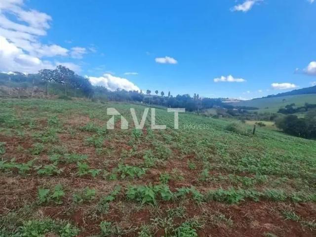 Terreno / Lote para Venda em Pouso Alegre/MG Centro