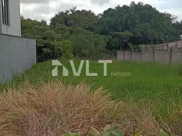 Terreno / Lote para Venda em Pouso Alegre/MG Centro