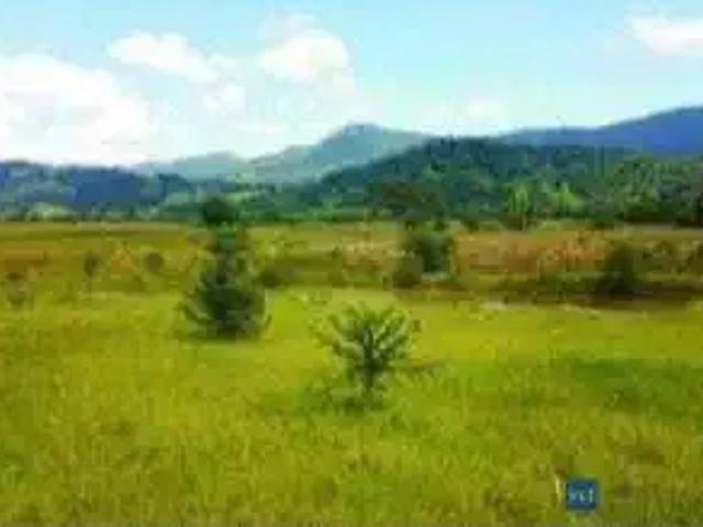 Terreno / Lote para Venda em Pouso Alegre/MG Cervo