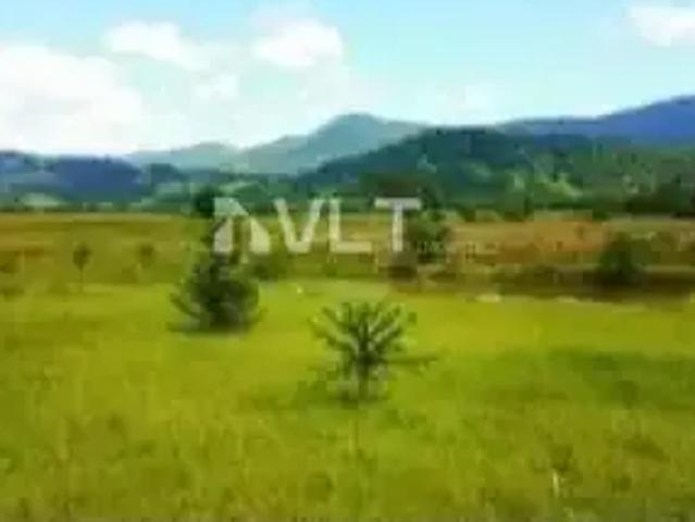 Terreno / Lote para Venda em Pouso Alegre/MG Cervo