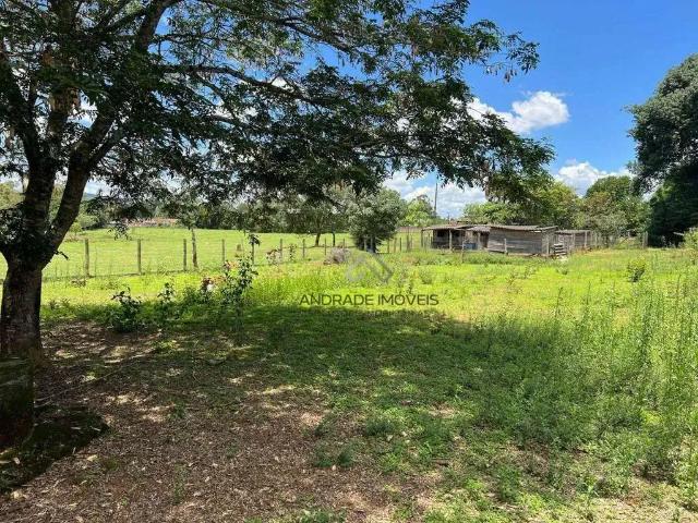 Terreno / Lote para Venda em Pouso Alegre/MG Cervo