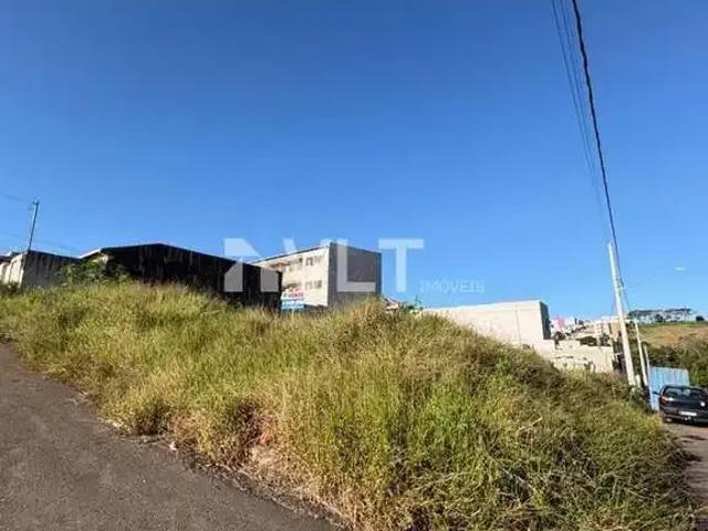 Terreno / Lote para Venda em Pouso Alegre/MG Cidade Vergani