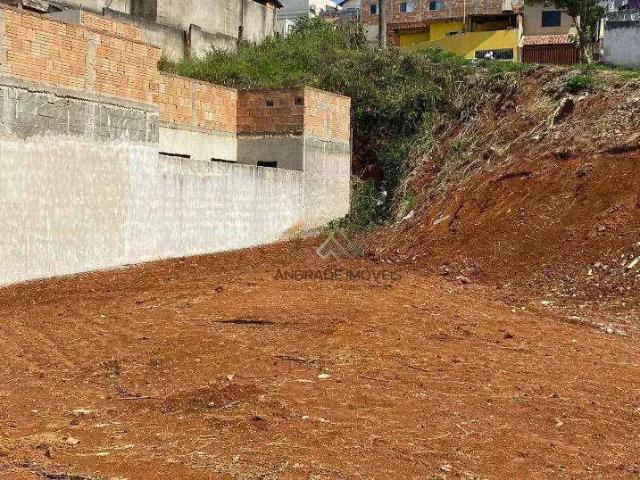 Terreno / Lote para Venda em Pouso Alegre/MG Colina Verde