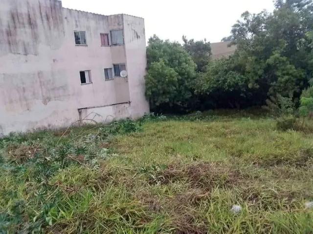 Terreno / Lote para Venda em Pouso Alegre/MG Colina Verde