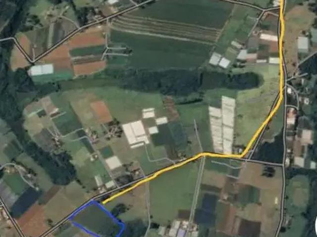 Terreno / Lote para Venda em Pouso Alegre/MG Cruz Alta