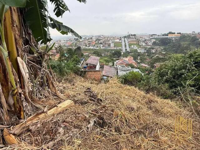 Terreno / Lote para Venda em Pouso Alegre/MG Nossa Senhora Aparecida