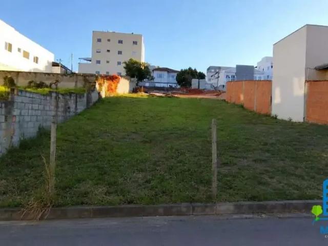 Terreno / Lote para Venda em Pouso Alegre/MG Pão de Açúcar