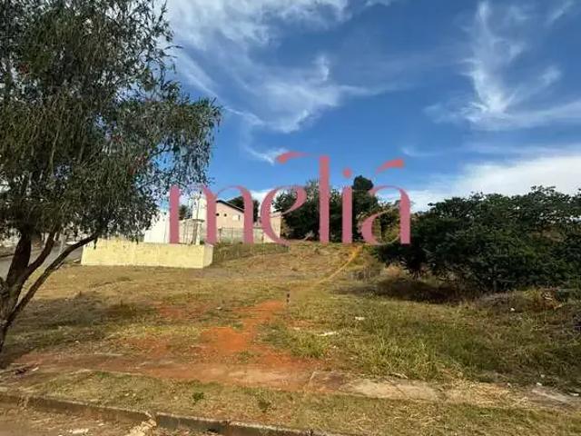 Terreno / Lote para Venda em Pouso Alegre/MG Parque Ibirá