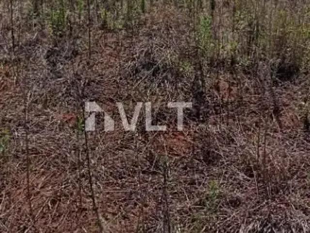 Terreno / Lote para Venda em Pouso Alegre/MG Residencial Santa Branca