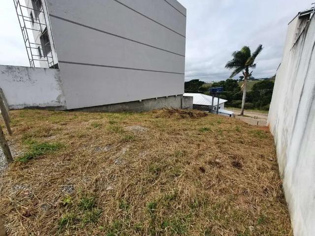 Terreno / Lote para Venda em Pouso Alegre/MG Residencial Santa Branca