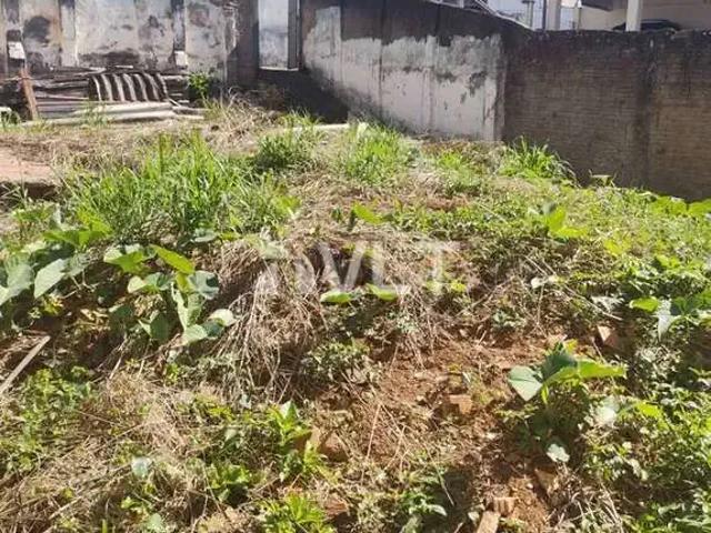 Terreno / Lote para Venda em Pouso Alegre/MG São João