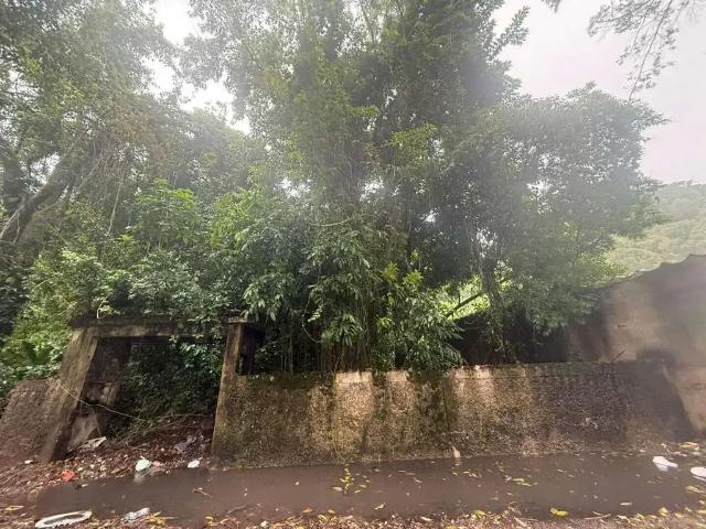 Terreno / Lote para Venda em Praia Grande/SP Canto do Forte