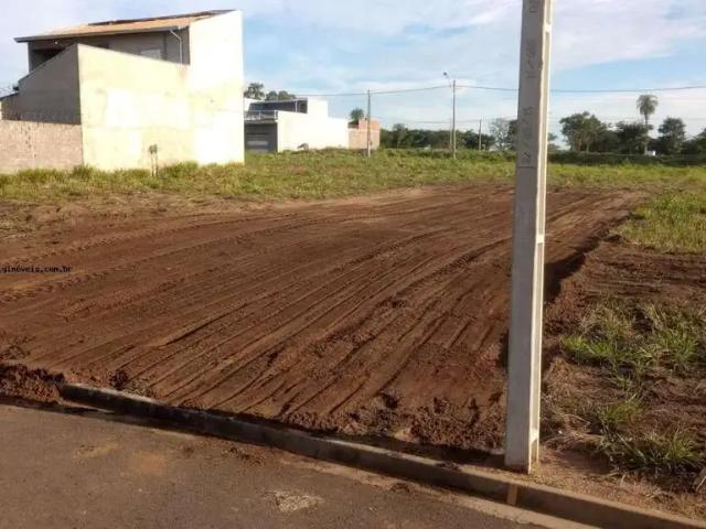Terreno / Lote para Venda em Presidente Epitácio/SP Jardim Aeroporto
