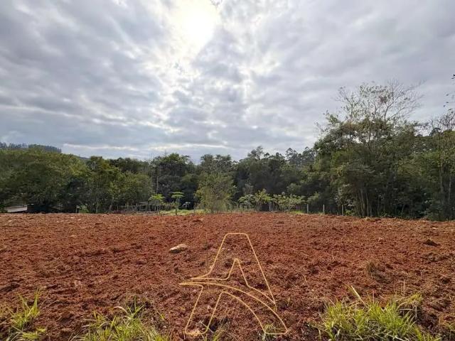 Terreno / Lote para Venda em Presidente Getúlio/SC Centro