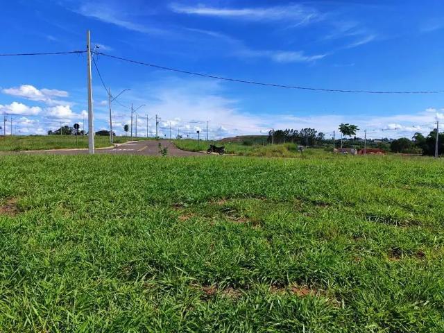 Terreno / Lote para Venda em Presidente Prudente/SP Conjunto Habitacional José Rota