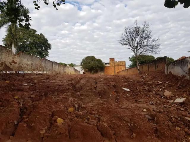 Terreno / Lote para Venda em Presidente Prudente/SP Centro