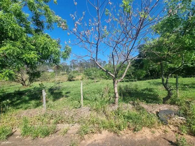 Terreno / Lote para Venda em Presidente Prudente/SP Chácara do Macuco