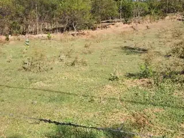 Terreno / Lote para Venda em Presidente Prudente/SP Chácara do Macuco
