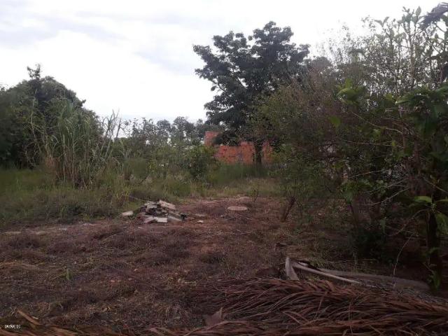 Terreno / Lote para Venda em Presidente Prudente/SP Brasil Novo