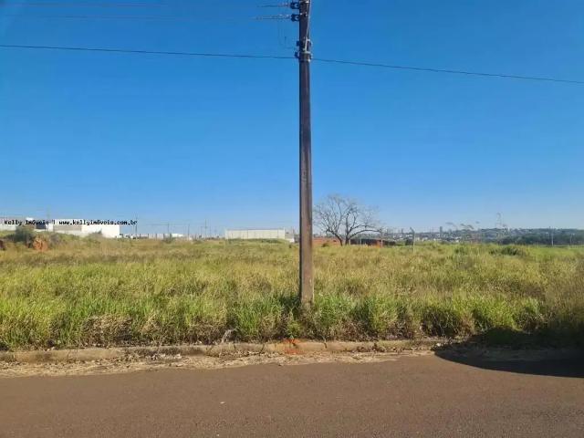 Terreno / Lote para Venda em Presidente Prudente/SP Distrito Industrial