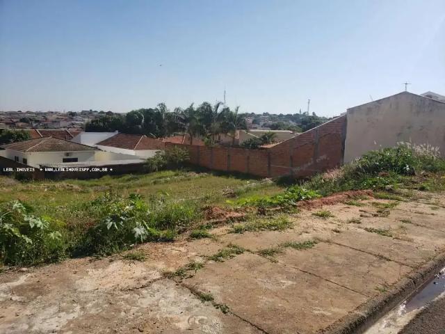 Terreno / Lote para Venda em Presidente Prudente/SP Jardim Novo Bongiovani