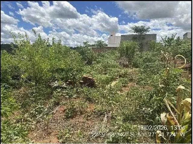 Terreno / Lote para Venda em Presidente Prudente/SP Jardim Novo Prudentino