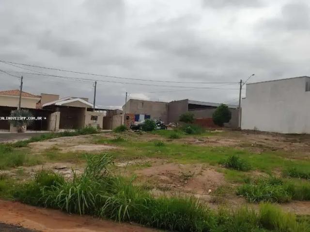 Terreno / Lote para Venda em Presidente Prudente/SP Jardim Novo Prudentino