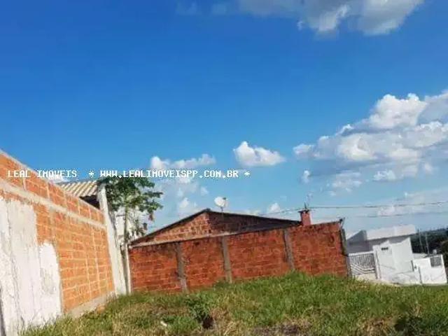 Terreno / Lote para Venda em Presidente Prudente/SP Jardim Novo Prudentino