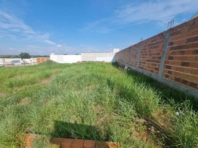 Terreno / Lote para Venda em Presidente Prudente/SP Jardim Novo Prudentino
