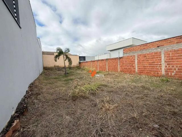 Terreno / Lote para Venda em Presidente Prudente/SP Jardim Novo Prudentino