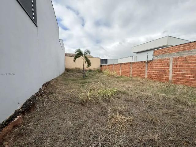 Terreno / Lote para Venda em Presidente Prudente/SP Jardim Novo Prudentino