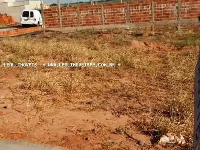 Terreno / Lote para Venda em Presidente Prudente/SP Jardim Novo Prudentino