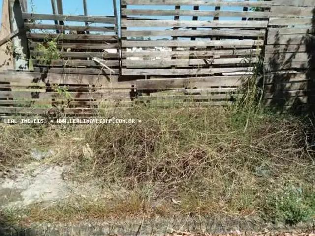 Terreno / Lote para Venda em Presidente Prudente/SP Jardim Novo Prudentino