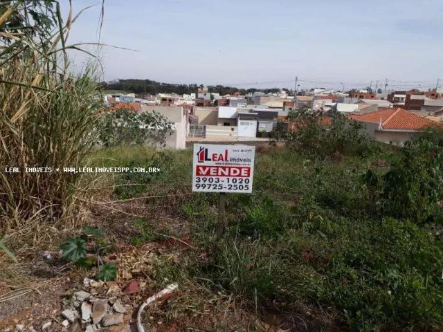 Terreno / Lote para Venda em Presidente Prudente/SP Jardim Novo Prudentino