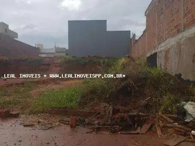 Terreno / Lote para Venda em Presidente Prudente/SP Jardim Novo Prudentino