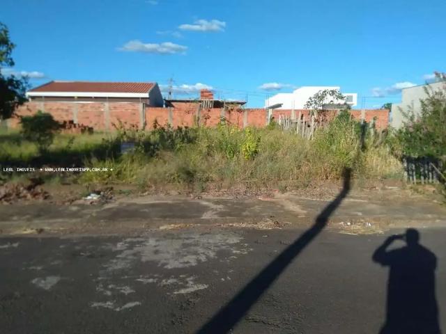Terreno / Lote para Venda em Presidente Prudente/SP Jardim Novo Prudentino