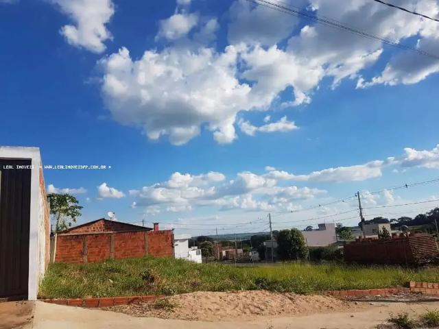 Terreno / Lote para Venda em Presidente Prudente/SP Jardim Novo Prudentino