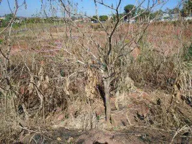 Terreno / Lote para Venda em Presidente Prudente/SP Jardim Barcelona