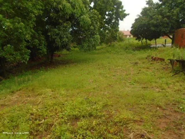 Terreno / Lote para Venda em Presidente Prudente/SP Jardim Cobral