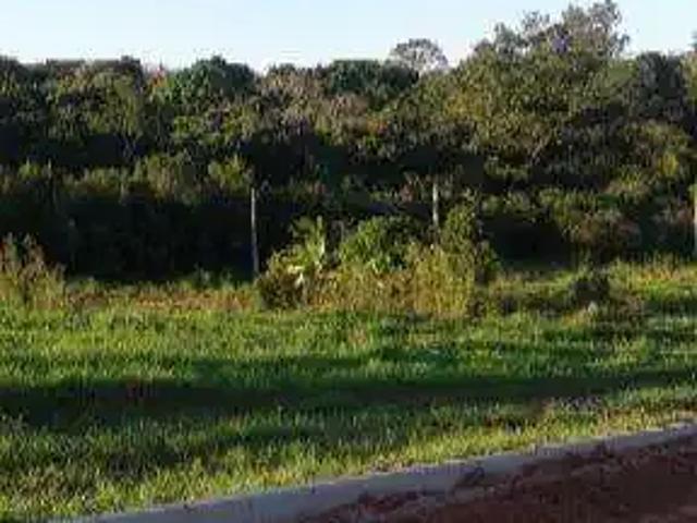 Terreno / Lote para Venda em Presidente Prudente/SP Jardim Itapura