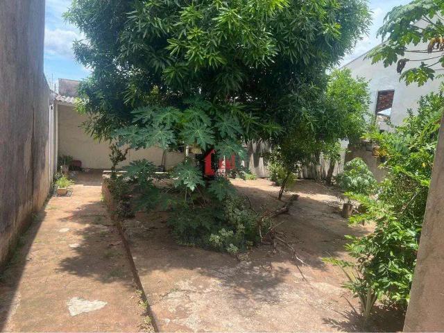 Terreno / Lote para Venda em Presidente Prudente/SP Jardim Itapura