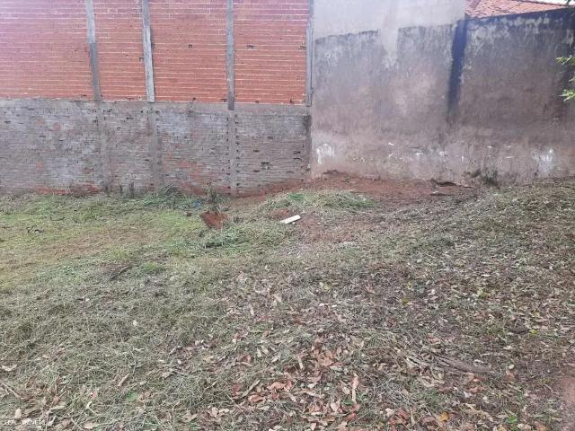Terreno / Lote para Venda em Presidente Prudente/SP Jardim Prudentino