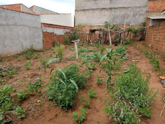 Terreno / Lote para Venda em Presidente Prudente/SP Jardim Prudentino