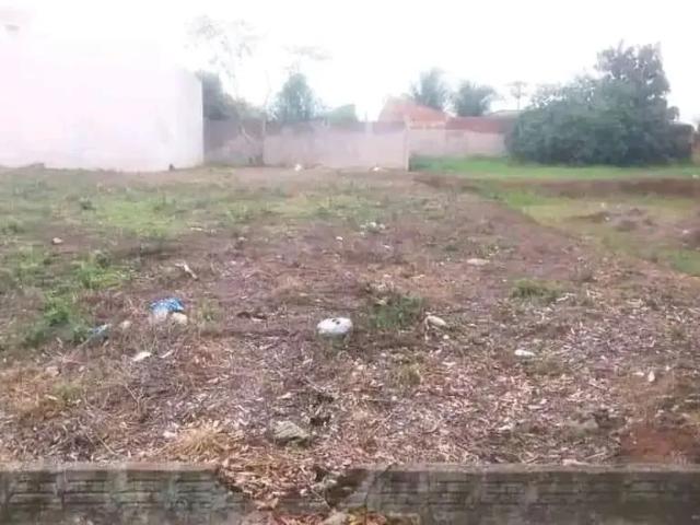 Terreno / Lote para Venda em Presidente Prudente/SP Jardim Prudentino