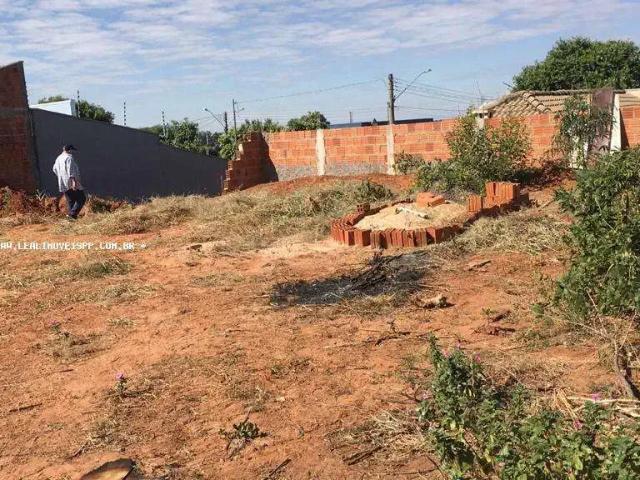 Terreno / Lote para Venda em Presidente Prudente/SP Jardim Prudentino