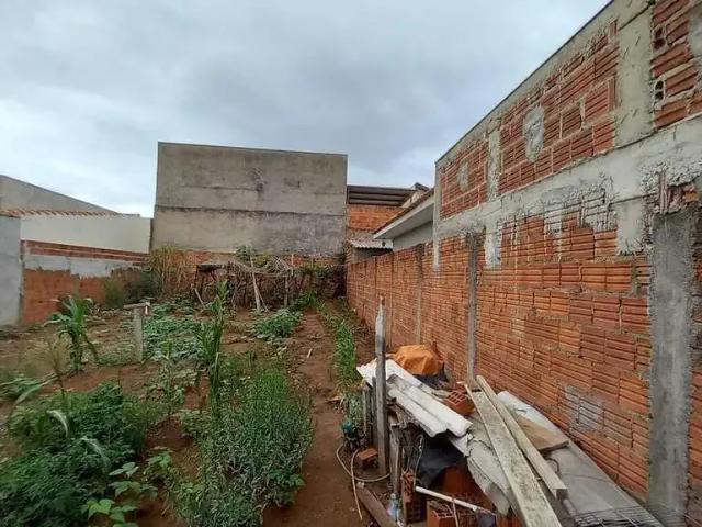 Terreno / Lote para Venda em Presidente Prudente/SP Jardim Prudentino