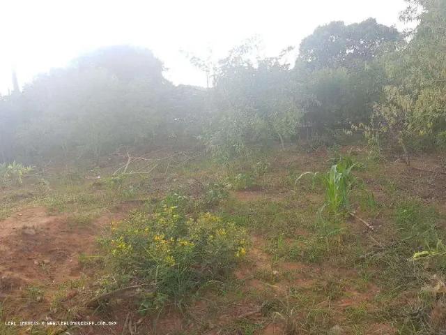 Terreno / Lote para Venda em Presidente Prudente/SP Jardim Prudentino