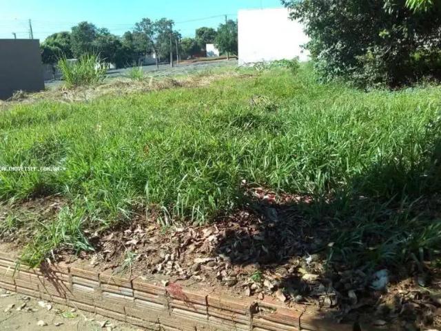 Terreno / Lote para Venda em Presidente Prudente/SP Jardim Prudentino